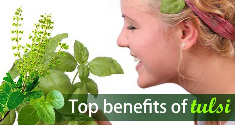 5 best Natural Home Remedies of Tulsi (Holy Basil) you should Try ...
